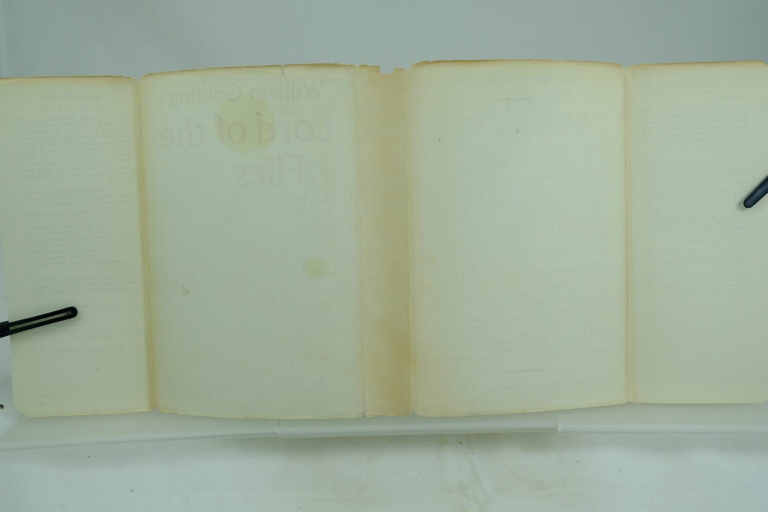 The Lord of the Flies by William Golding - Rare and Antique Books