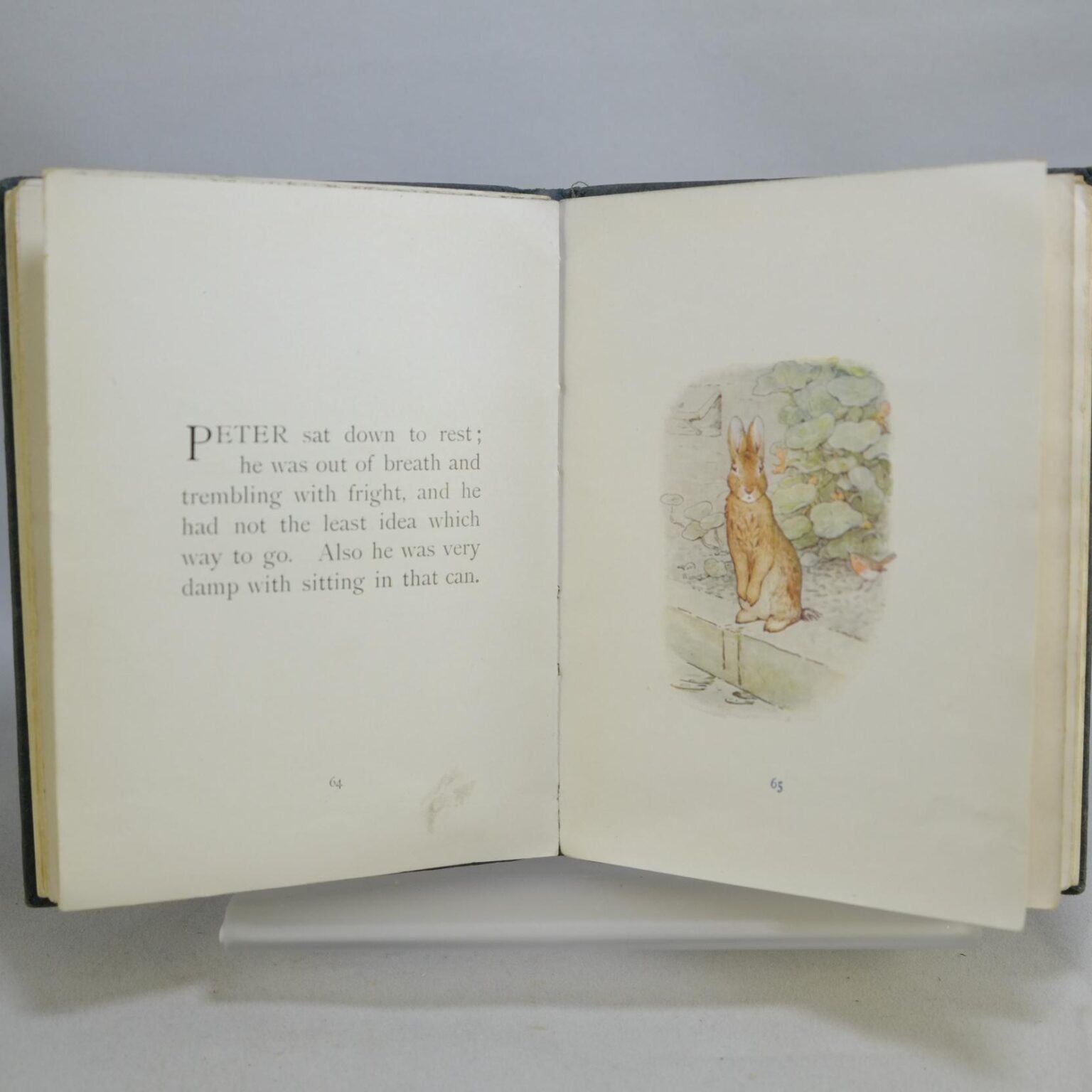The Tale of Peter Rabbit by Beatrix Potter - Rare and Antique Books